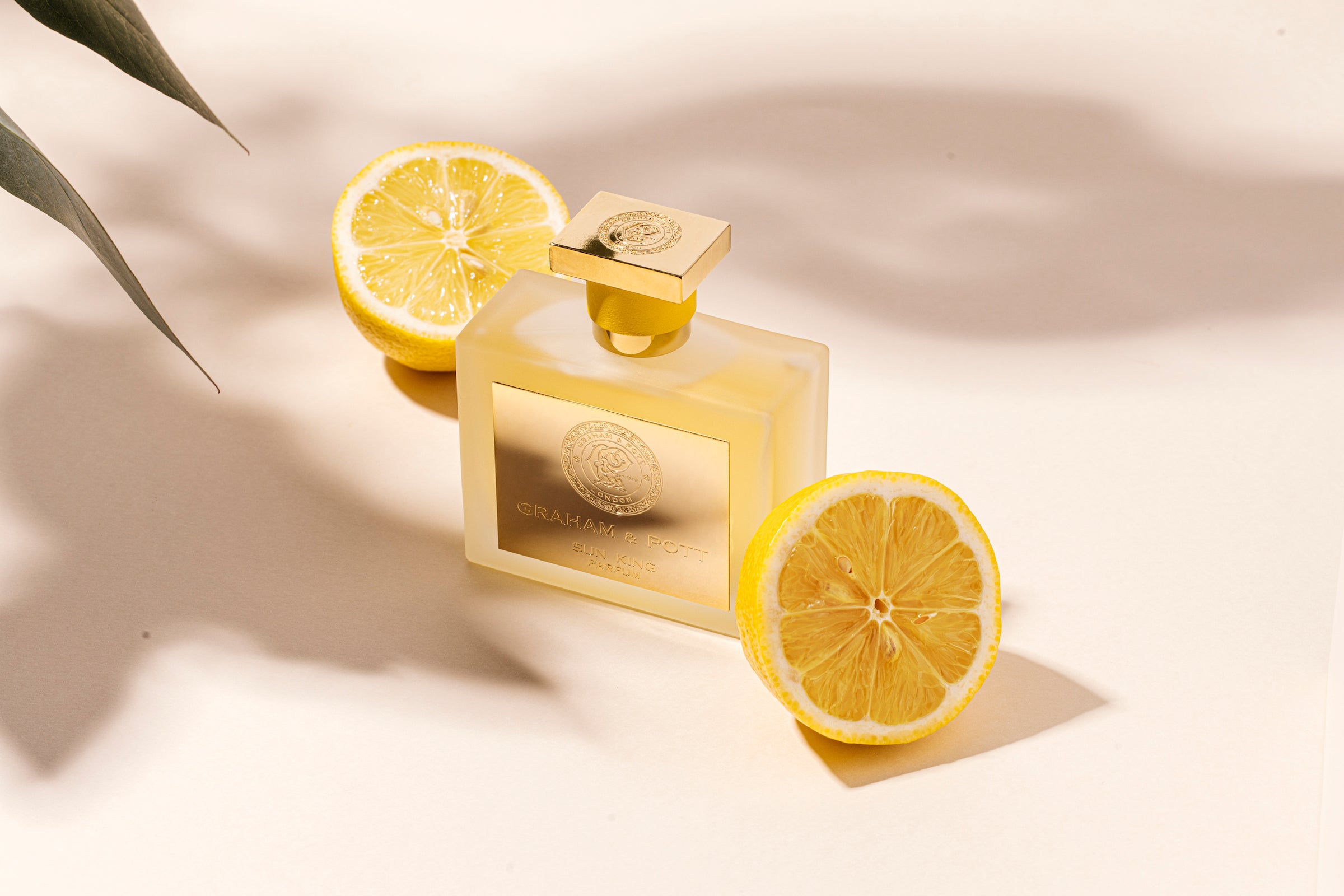 GRAHAM & POTT – Since 1890